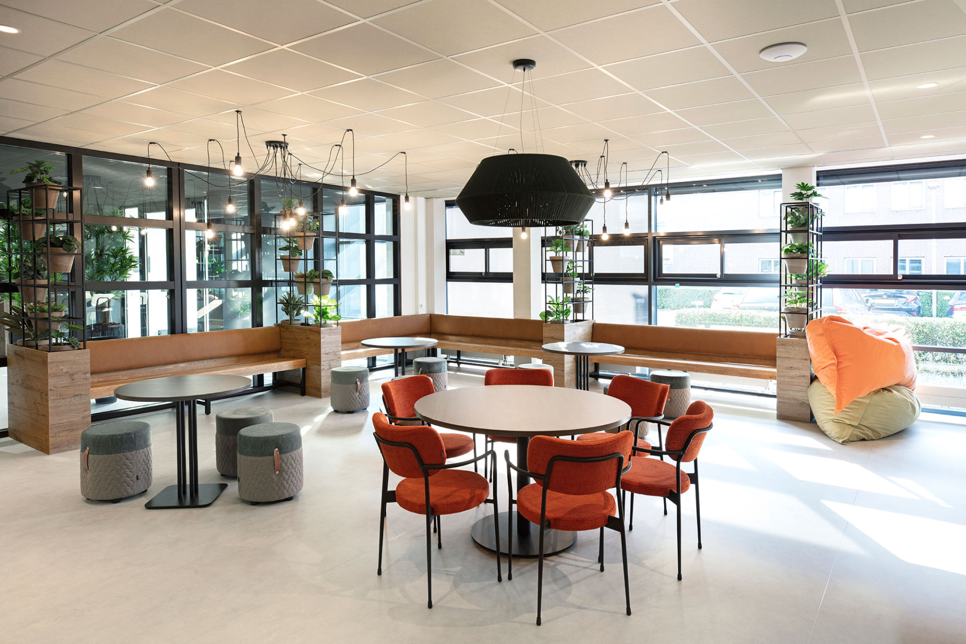 Quiet Mark | Rockfon Color-all® Acoustic Suspended Ceiling