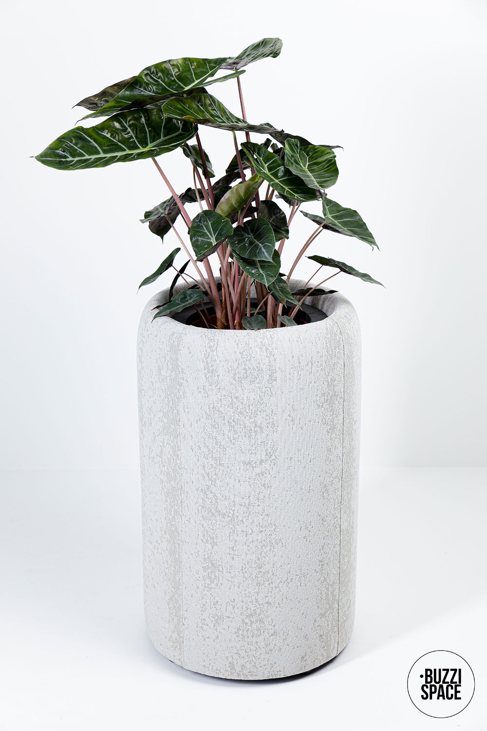 Quiet Mark | BuzziSpace BuzziPlanter Biophilic Office Divider
