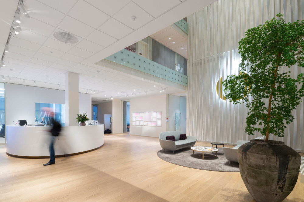 Quiet Mark | Rockfon Blanka® Acoustic Suspended Ceiling