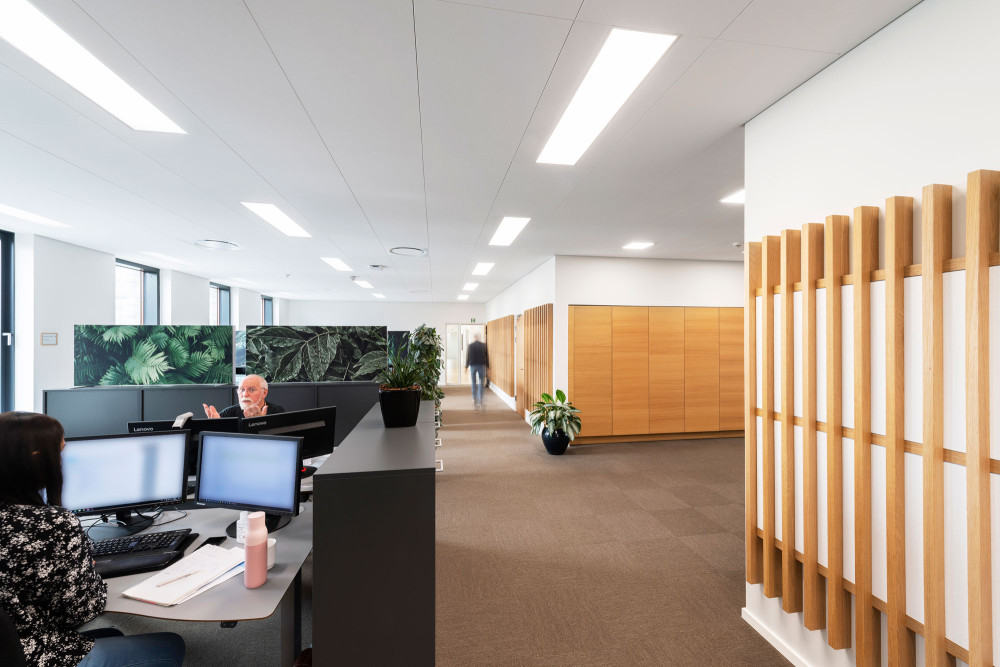 Quiet Mark | Rockfon Blanka® Acoustic Suspended Ceiling