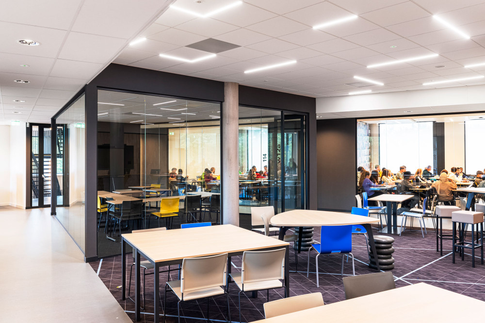 Quiet Mark | Rockfon Blanka® Acoustic Suspended Ceiling