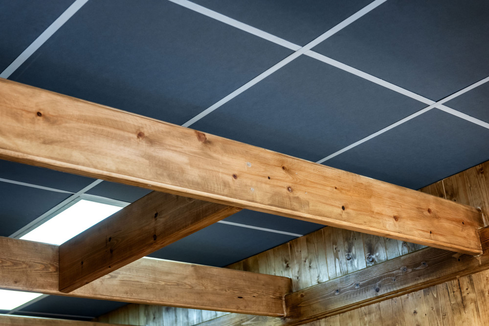 Quiet Mark | Rockfon Color-all® Acoustic Suspended Ceiling