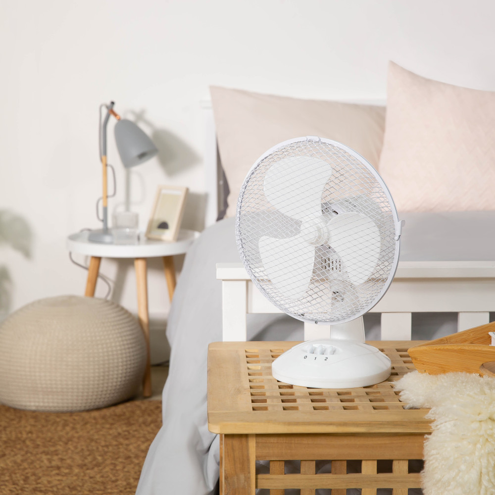 Quiet Mark | Russell Hobbs RHPDF0921 9” Desk Fan - White